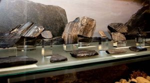 Whitby Fossils, How And Where To Find Fossils In And Around Whitby