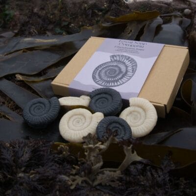 Six Whitby Ammonite Soaps, Whitby Fossil Soaps