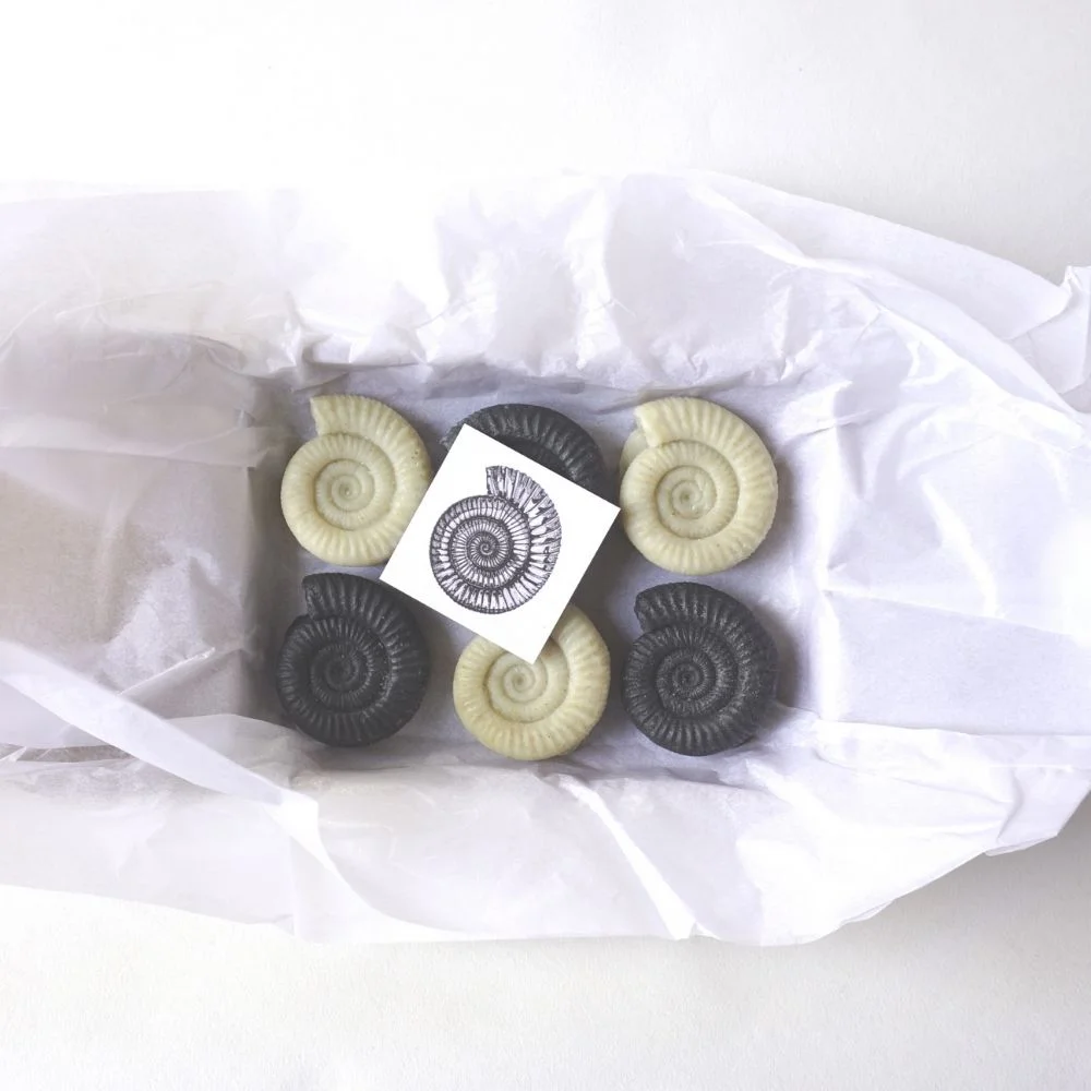 Handmade Ammonite Whitby Fossil Soaps From Mount House