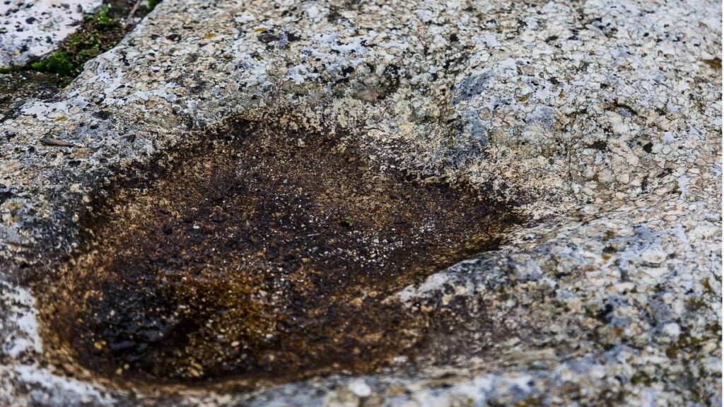 Whitby Fossils, How And Where To Find Fossils In And Around Whitby
