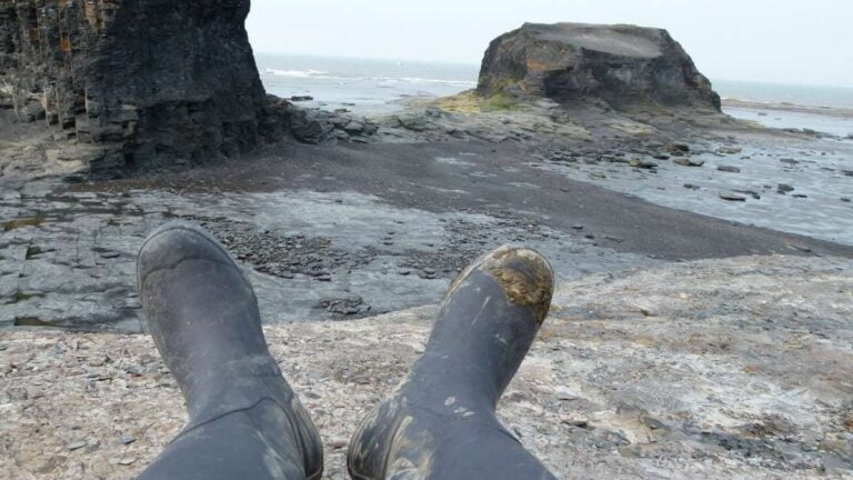 Whitby Fossils, How And Where To Find Fossils In And Around Whitby