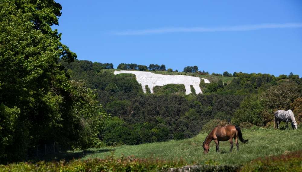 North York Moors Walks, 8 Of The Best Walks In The North York Moors