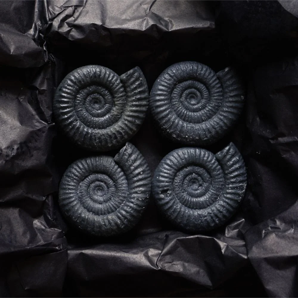 Handmade Ammonite Whitby Fossil Soaps From Mount House