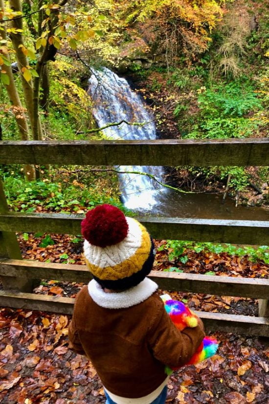 Visit the Falling Foss Waterfall & Tea Rooms | The Whitby Guide
