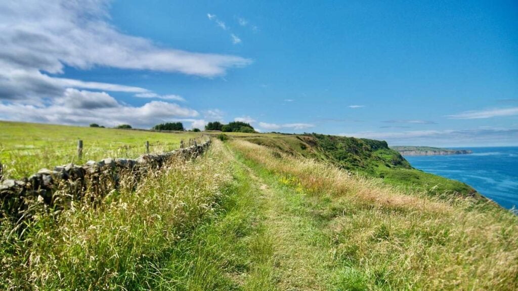 Ravenscar to Robin Hood's Bay Walk, All You Need To Know
