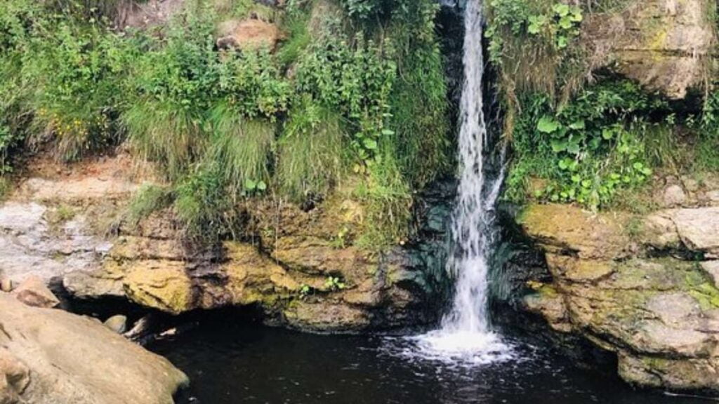 Yorkshire Coast Walks, 8 Walks Along The Yorkshire Coast