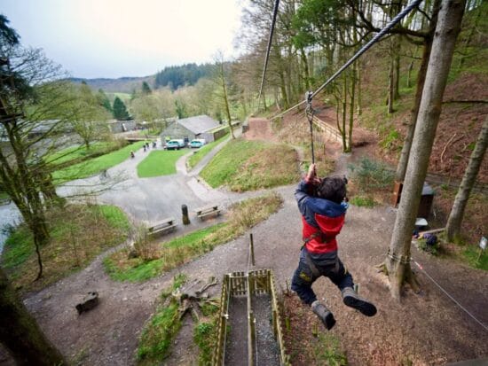 Go Ape Dalby, Tree Top Adventure in Dalby Forest
