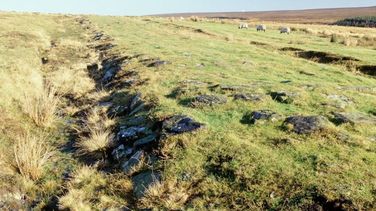Visit the Wheeldale Roman Road in North York Moors