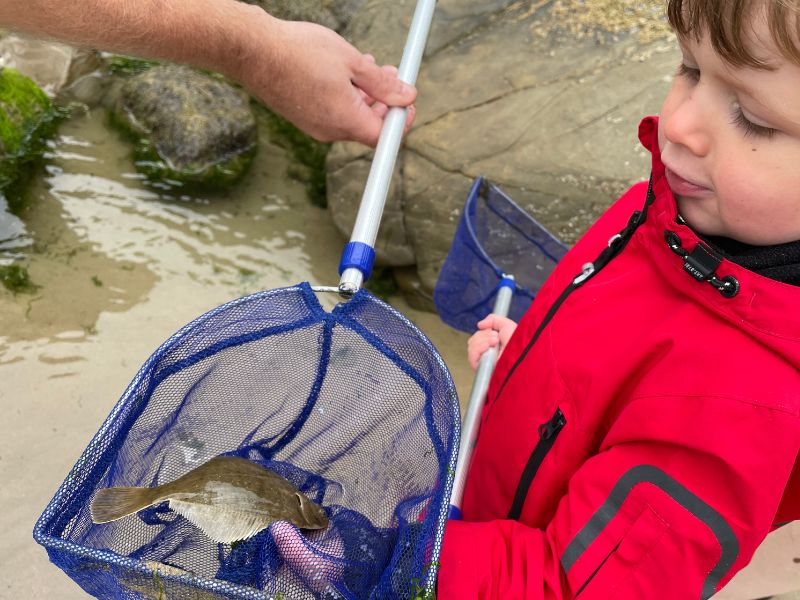 Best places for rock pooling in and around Whitby