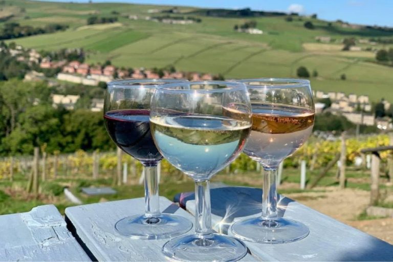 Yorkshire Vineyards and Tours | The Whitby Guide