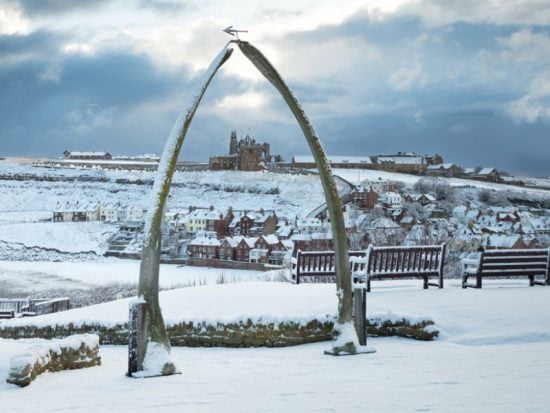 Whitby FAQs, Find Your Answers Here | The Whitby Guide