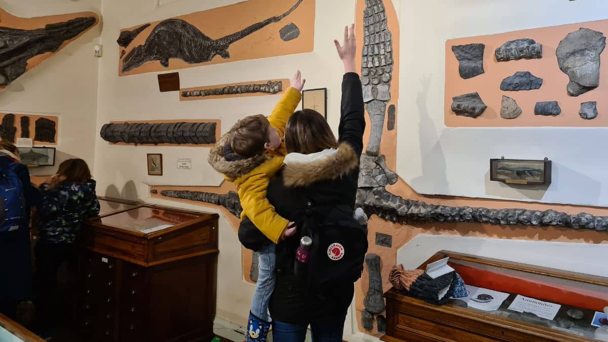 Whitby Museum in Pannett Park, All You Need To Know