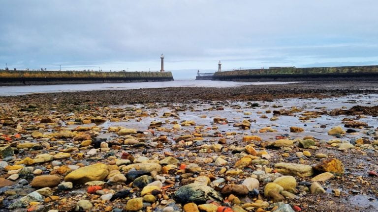 Beachcombing In Whitby & The Surrounding Areas