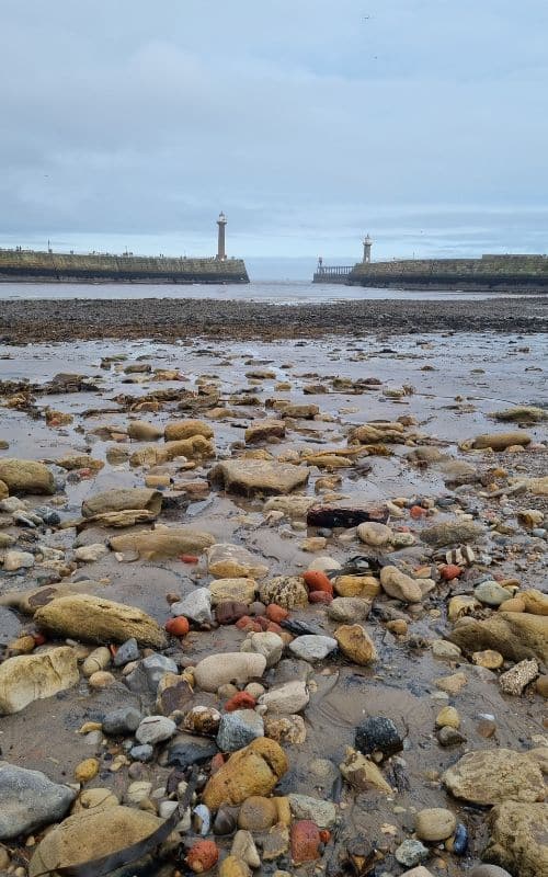 Is Whitby A Nice Place To Live? Here Is All You Need To Know.