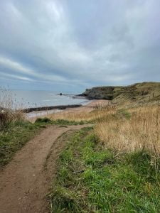 Whitby Beaches, Your Beach By Beach Guide, Beaches in Whitby