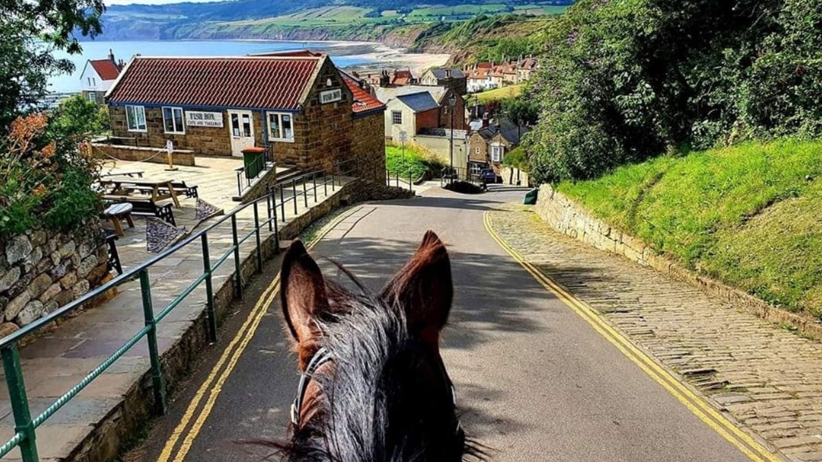 Farsyde Farm, Horse Riding Friendly Campsite, Robin Hood's Bay