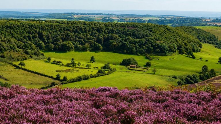 Hole of Horcum Circular Walk from Saltergate | The Whitby Guide
